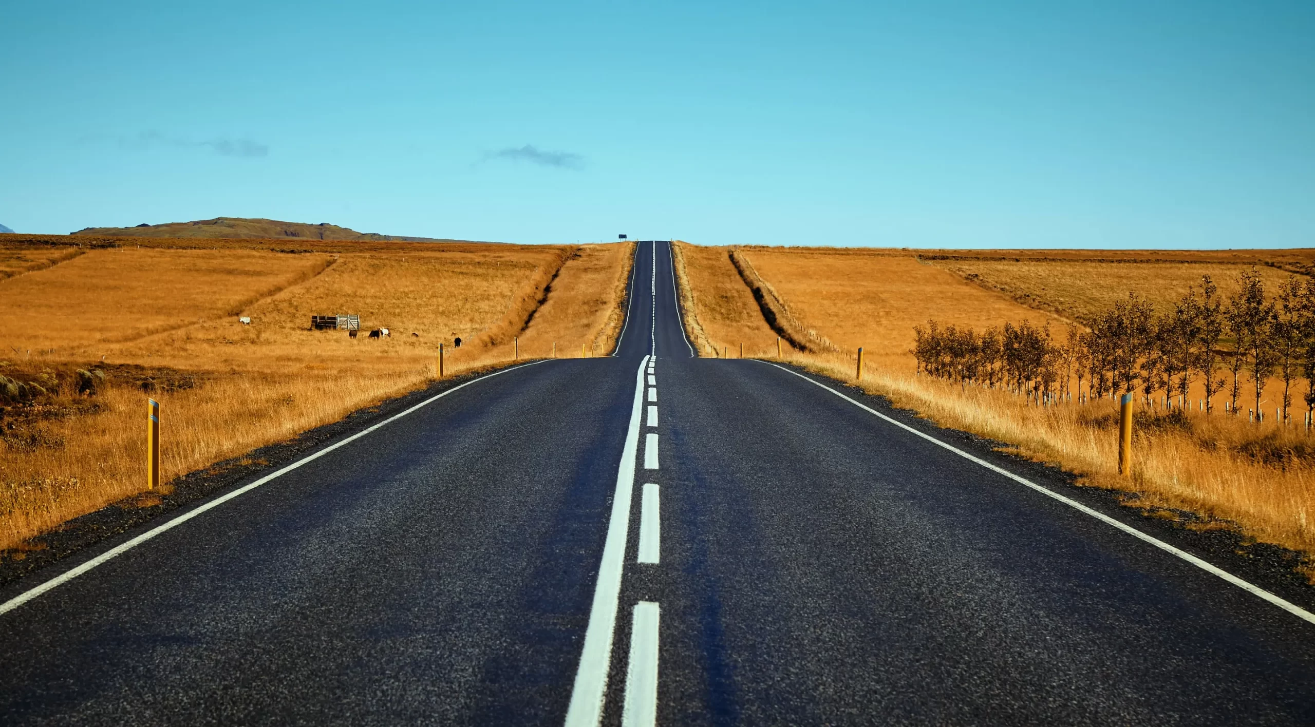 The Complete Illinois Foreclosure Timeline | Steven Grace Law